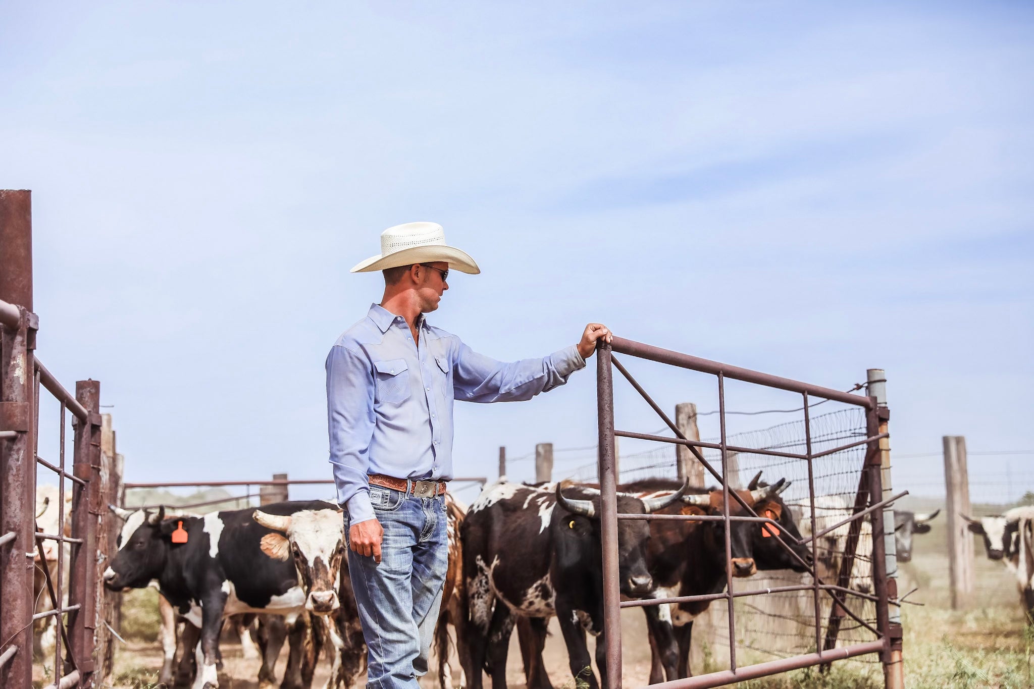 The Corriente Beef | Grass Fed Beef Arizona – Capital Farms Meats ...